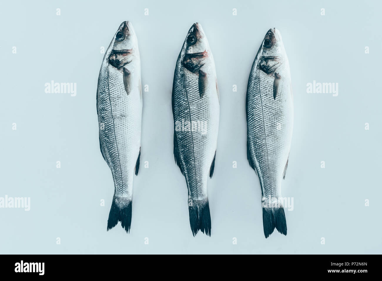 close-up view of raw fresh healthy sea bass fish isolated on grey Stock ...