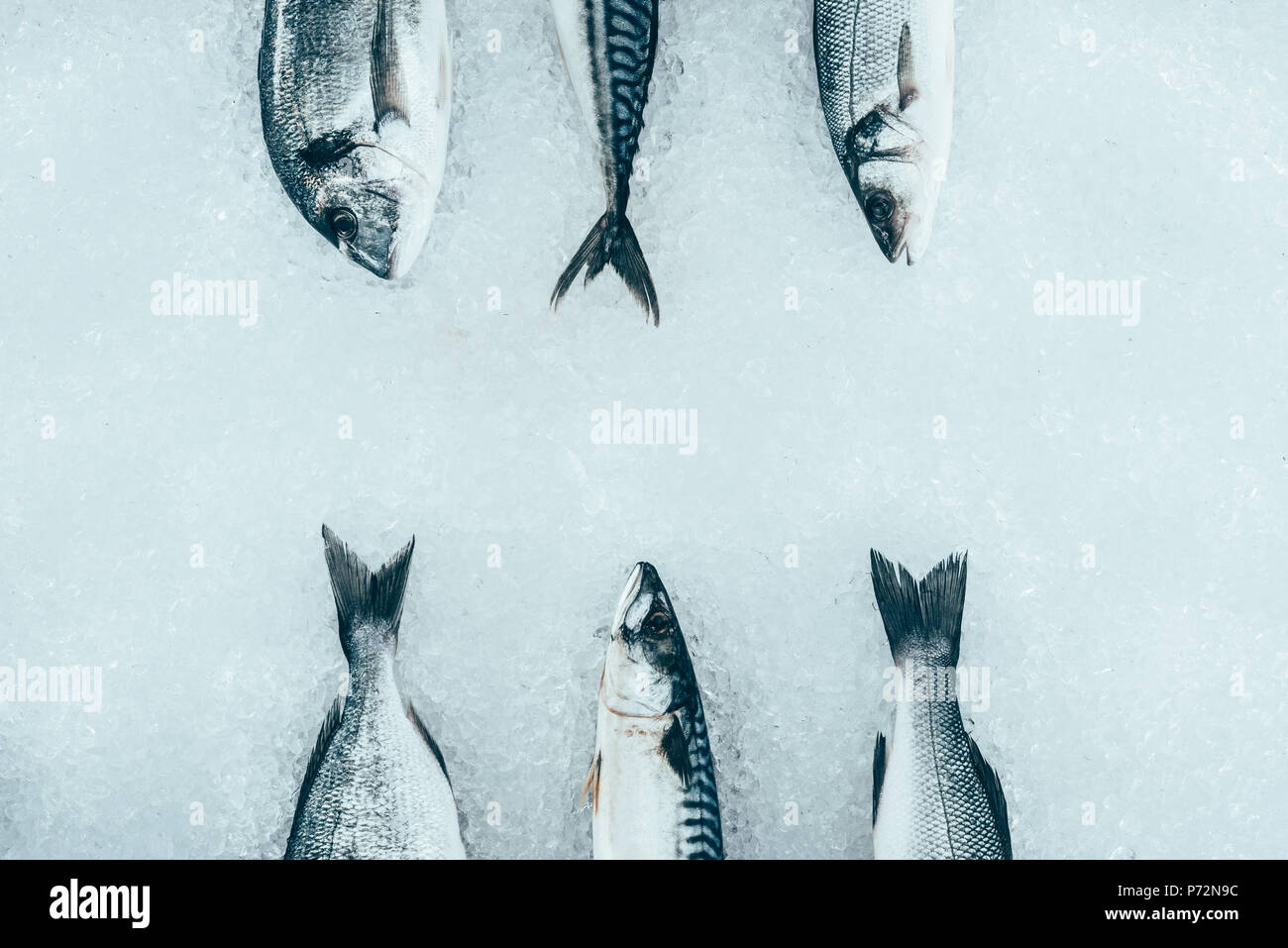 Assorted fish and seafood hi-res stock photography and images - Alamy