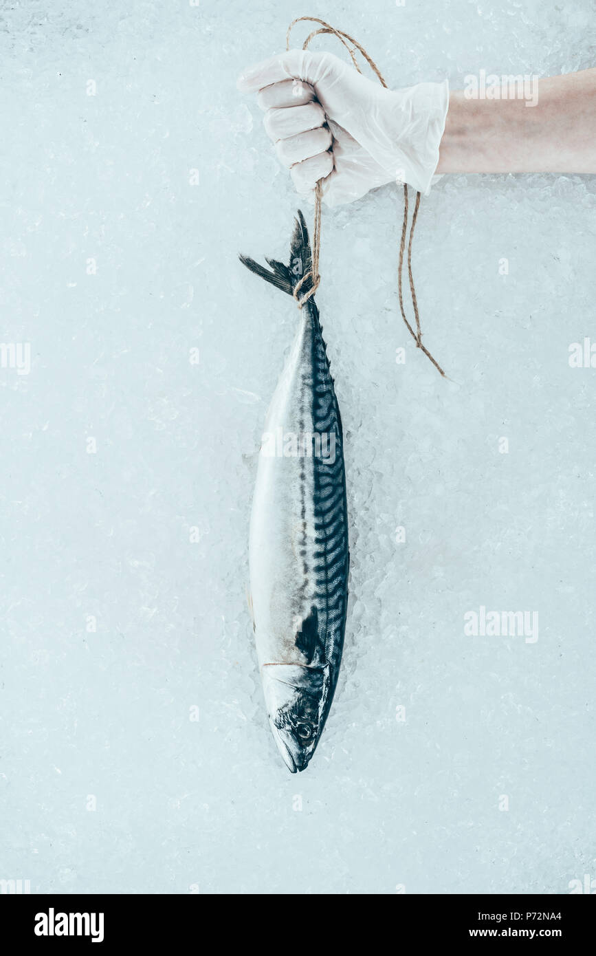 Hand holding fish fillet hi-res stock photography and images - Alamy