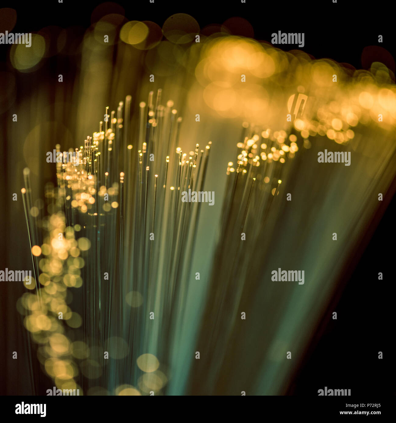 selective focus of shiny yellow fiber optics texture background Stock ...