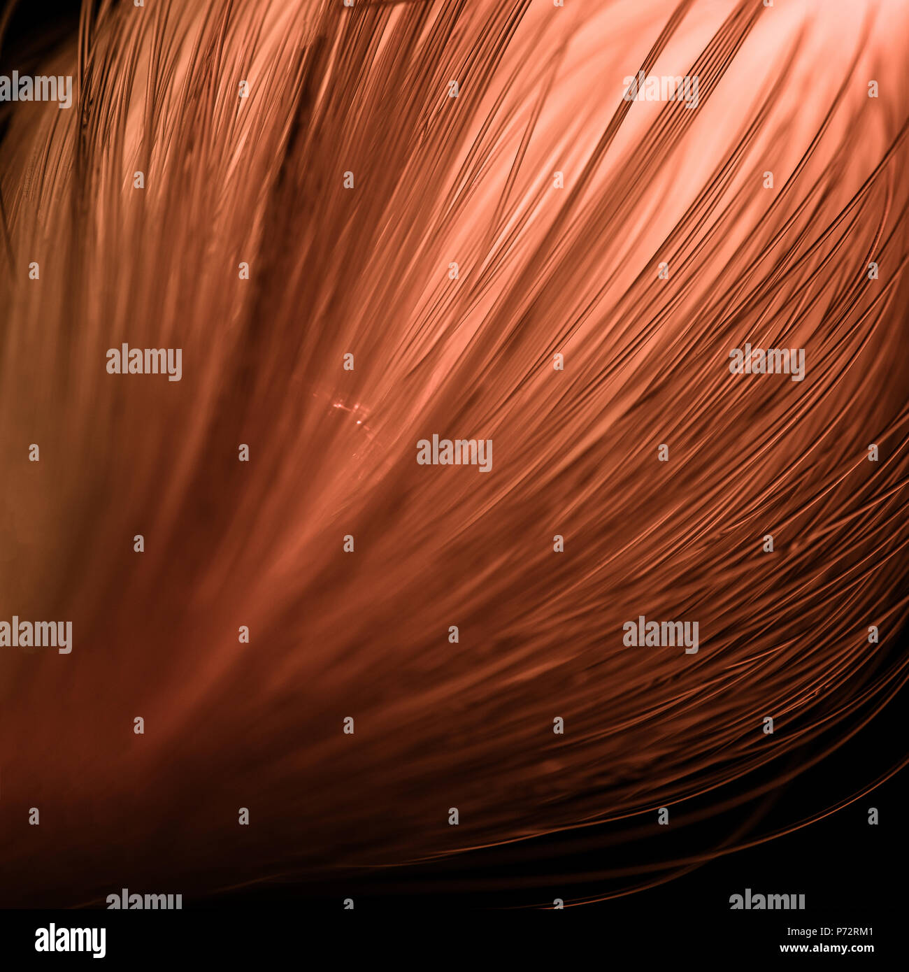 close up of glowing pink fiber optics threads texture Stock Photo - Alamy