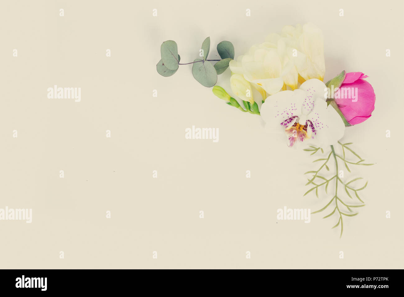 Flowers composition. Frame made of leaves and flowers on white ...