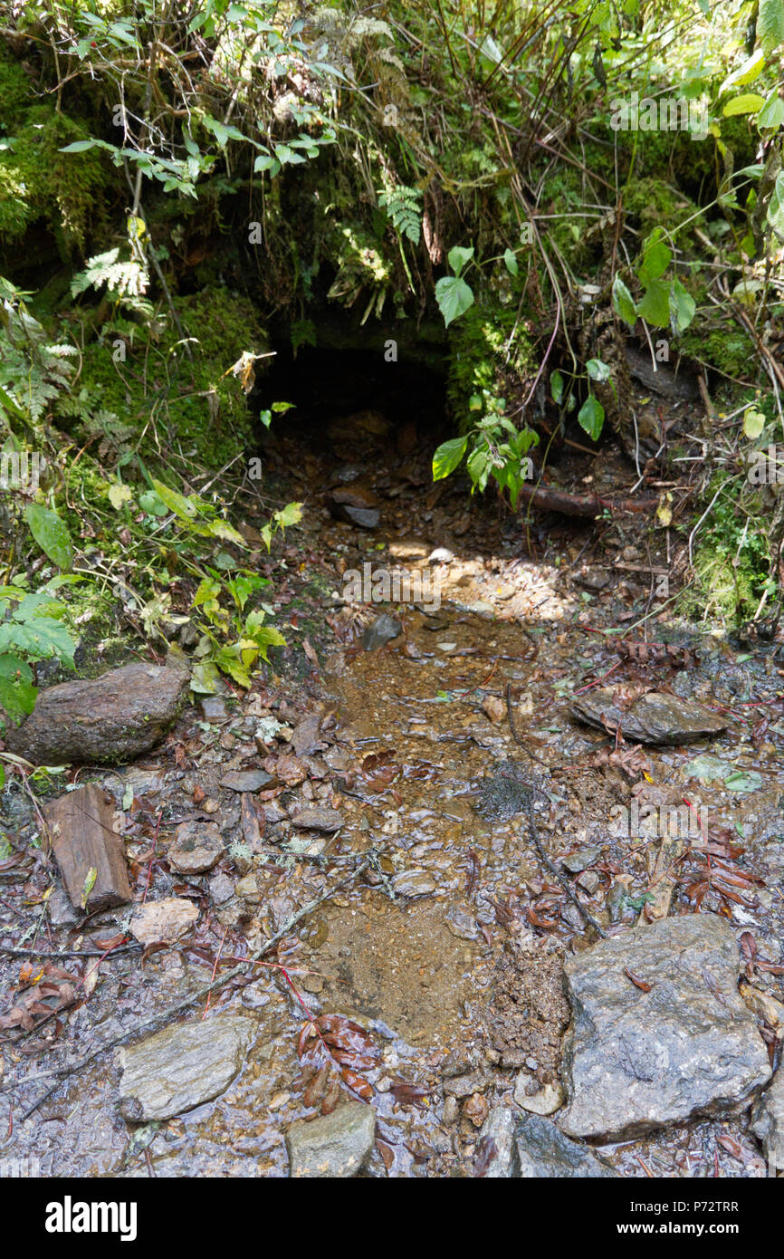Small cave opening hi-res stock photography and images - Alamy