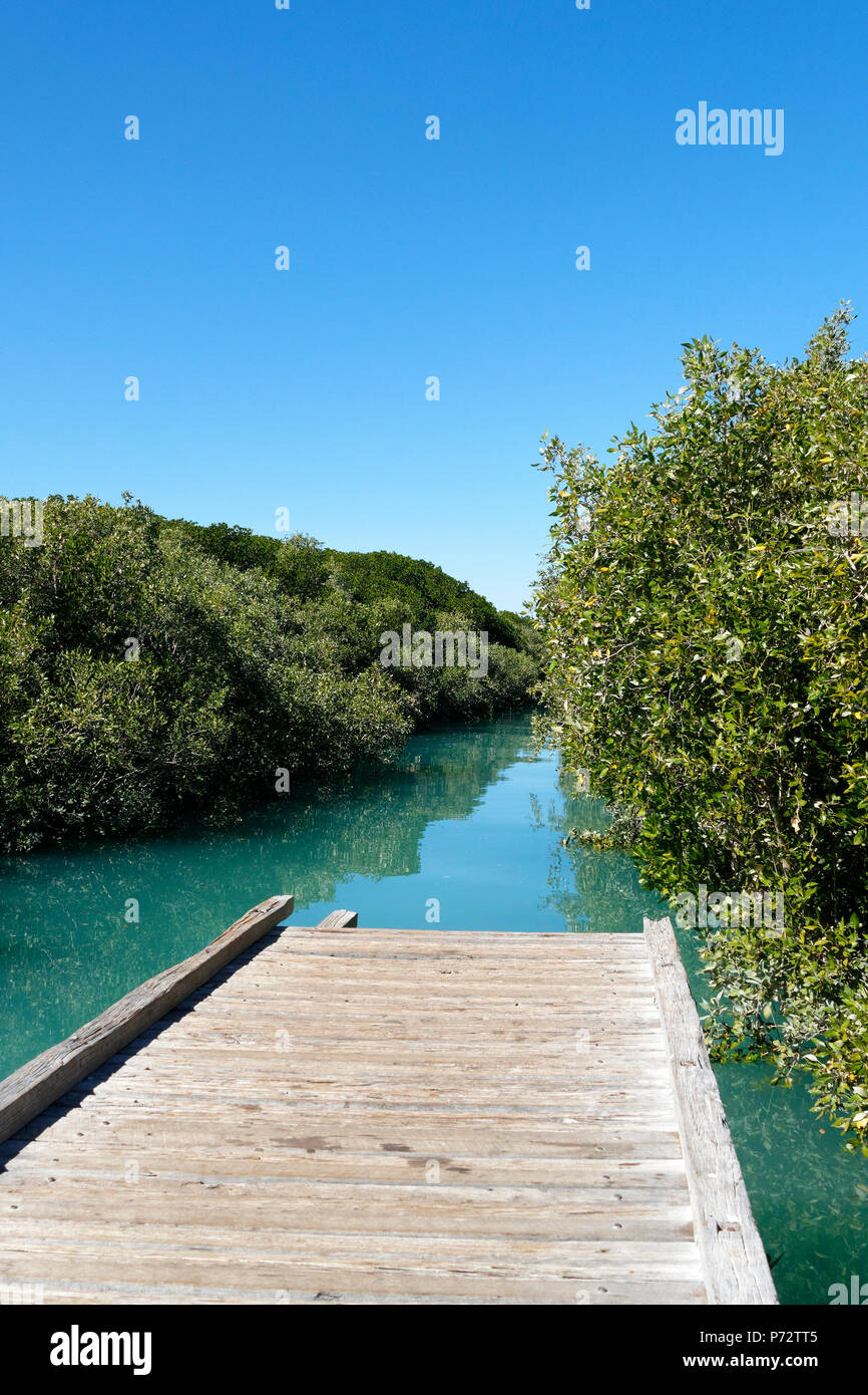 Streeters Jetty with Mangrove trees, Broome, West Kimberley, Western ...