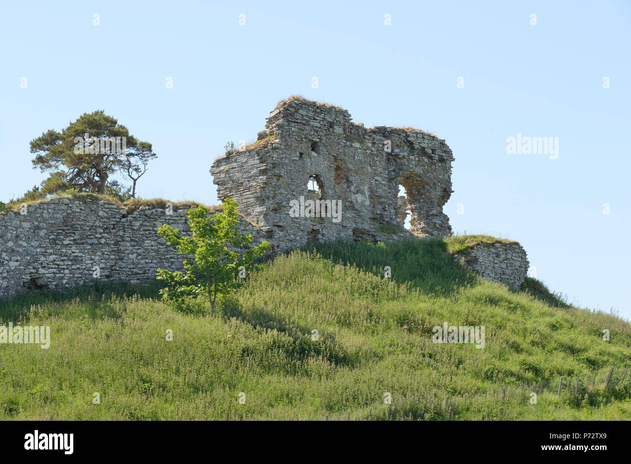 Skelbo Castle is a ruined 14th century keep, located on a hill near ...