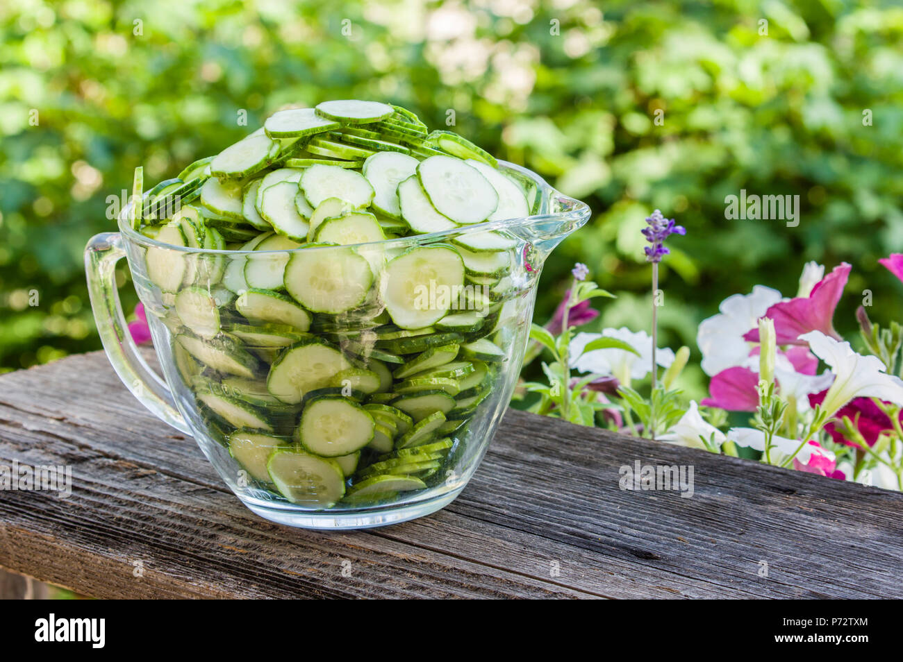 Glass bowl with green sliced fresh pickles for canning Stock Photo - Alamy