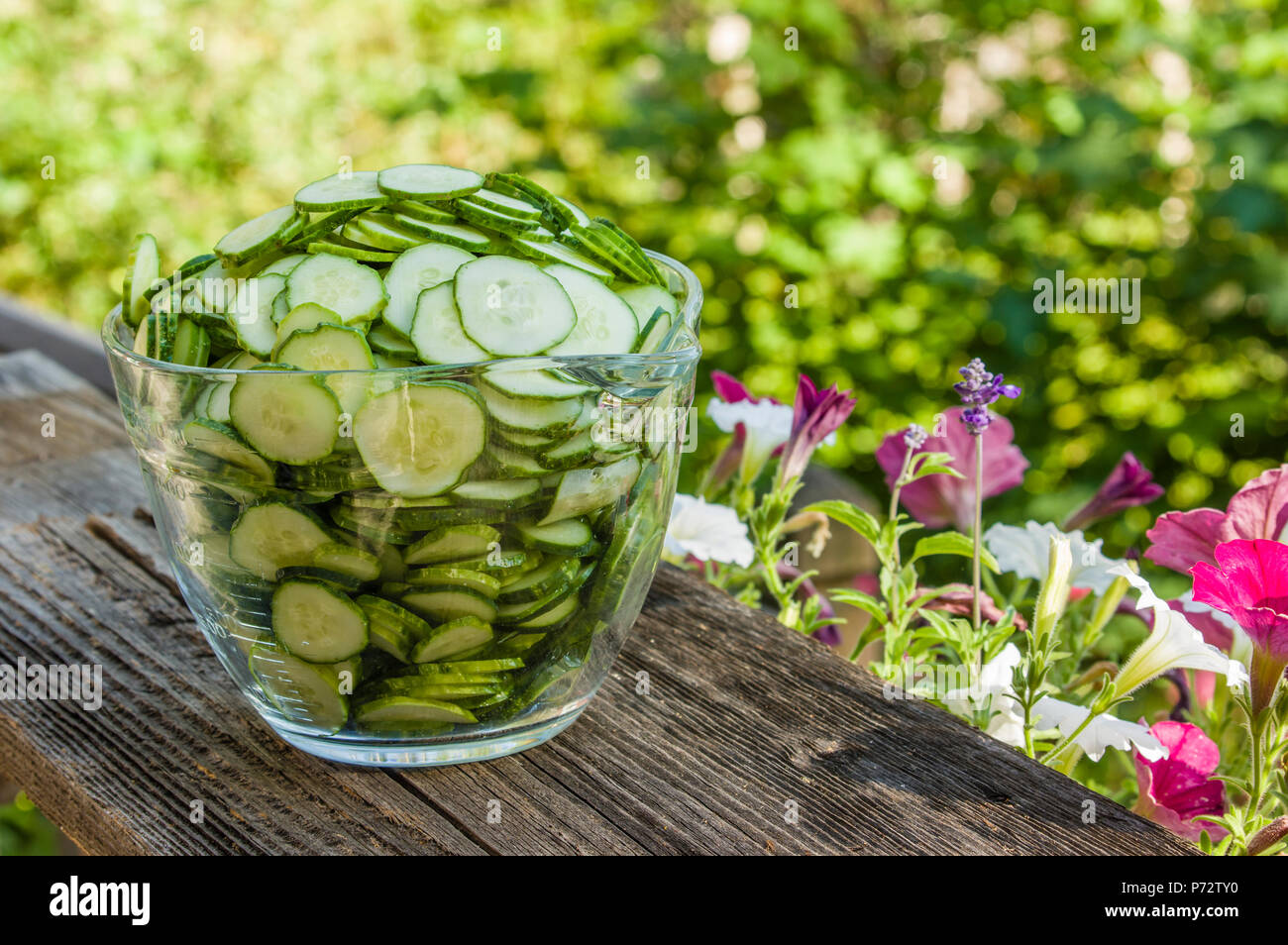 Glass bowl with green sliced fresh pickles for canning Stock Photo - Alamy