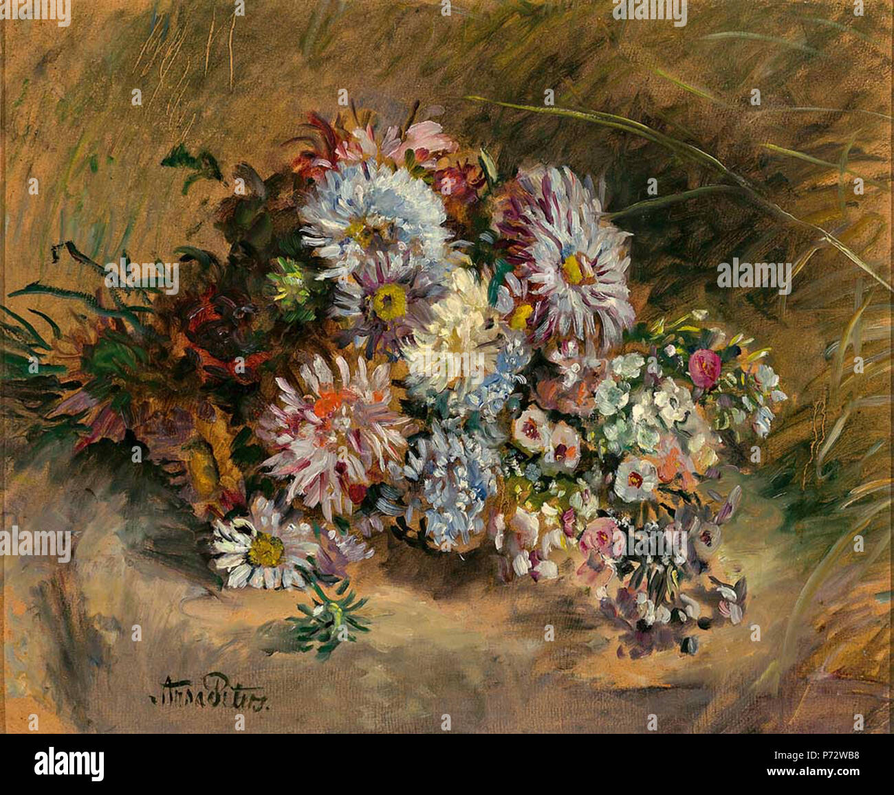 Anna peters hi-res stock photography and images - Alamy