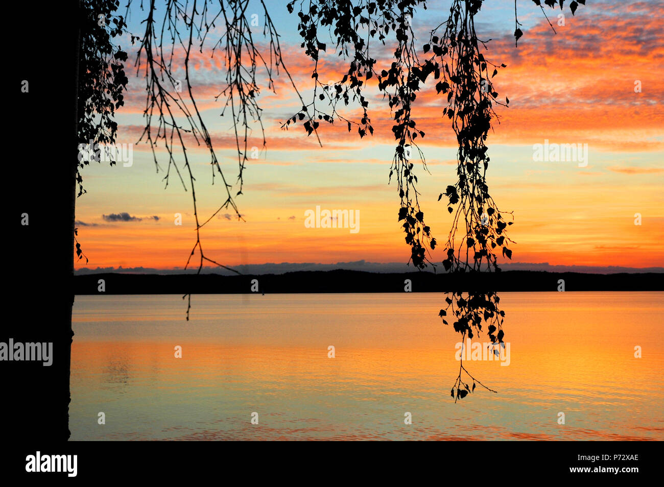 Pond trees reflection water sunset sky silhouette hi-res stock ...