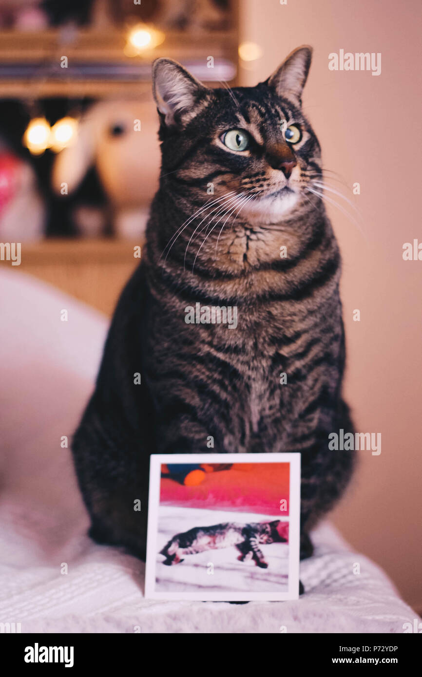 Polaroid photo hi-res stock photography and images - Alamy