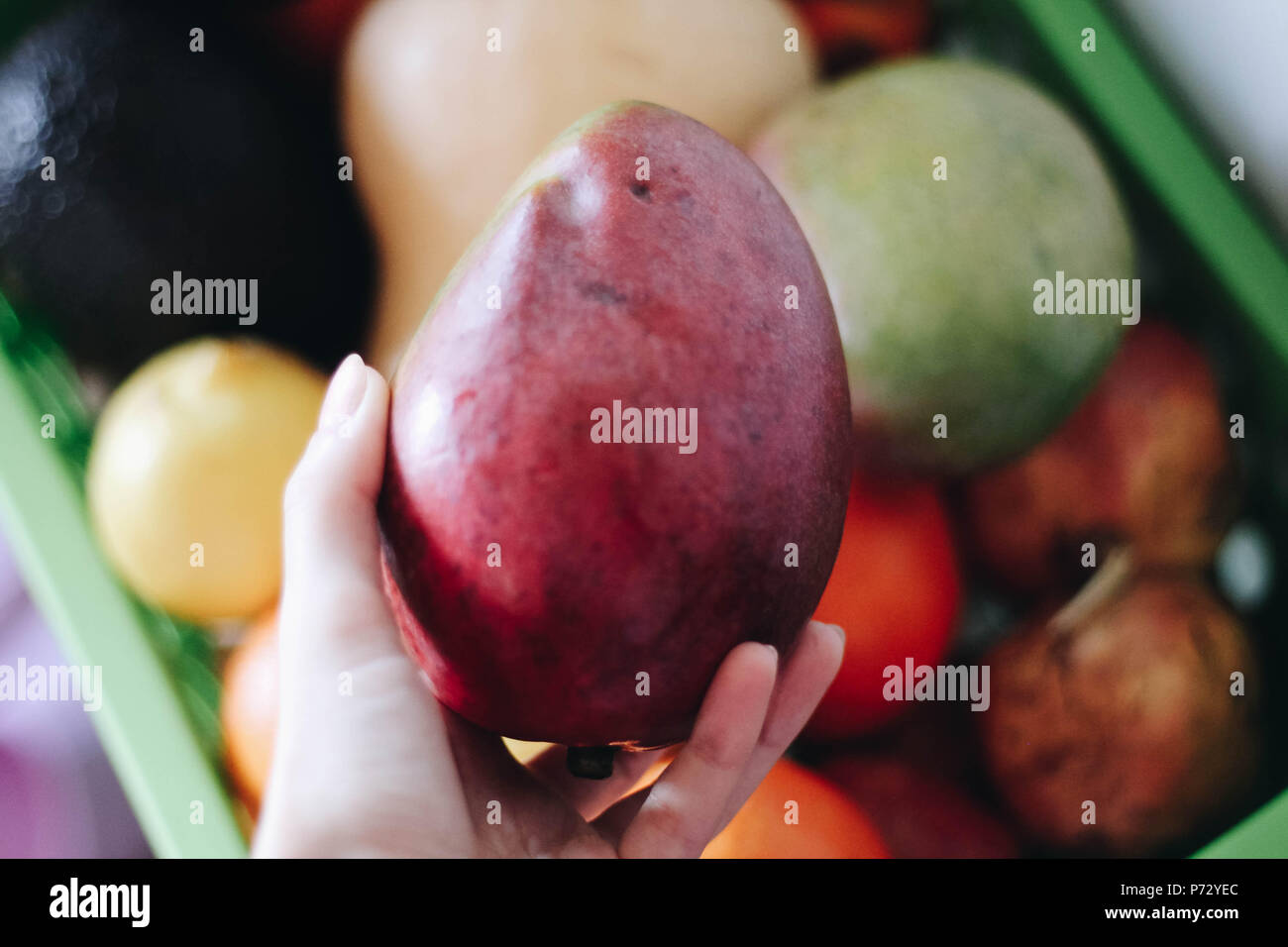 Close-up of a Mango fruit Stock Photo - Alamy