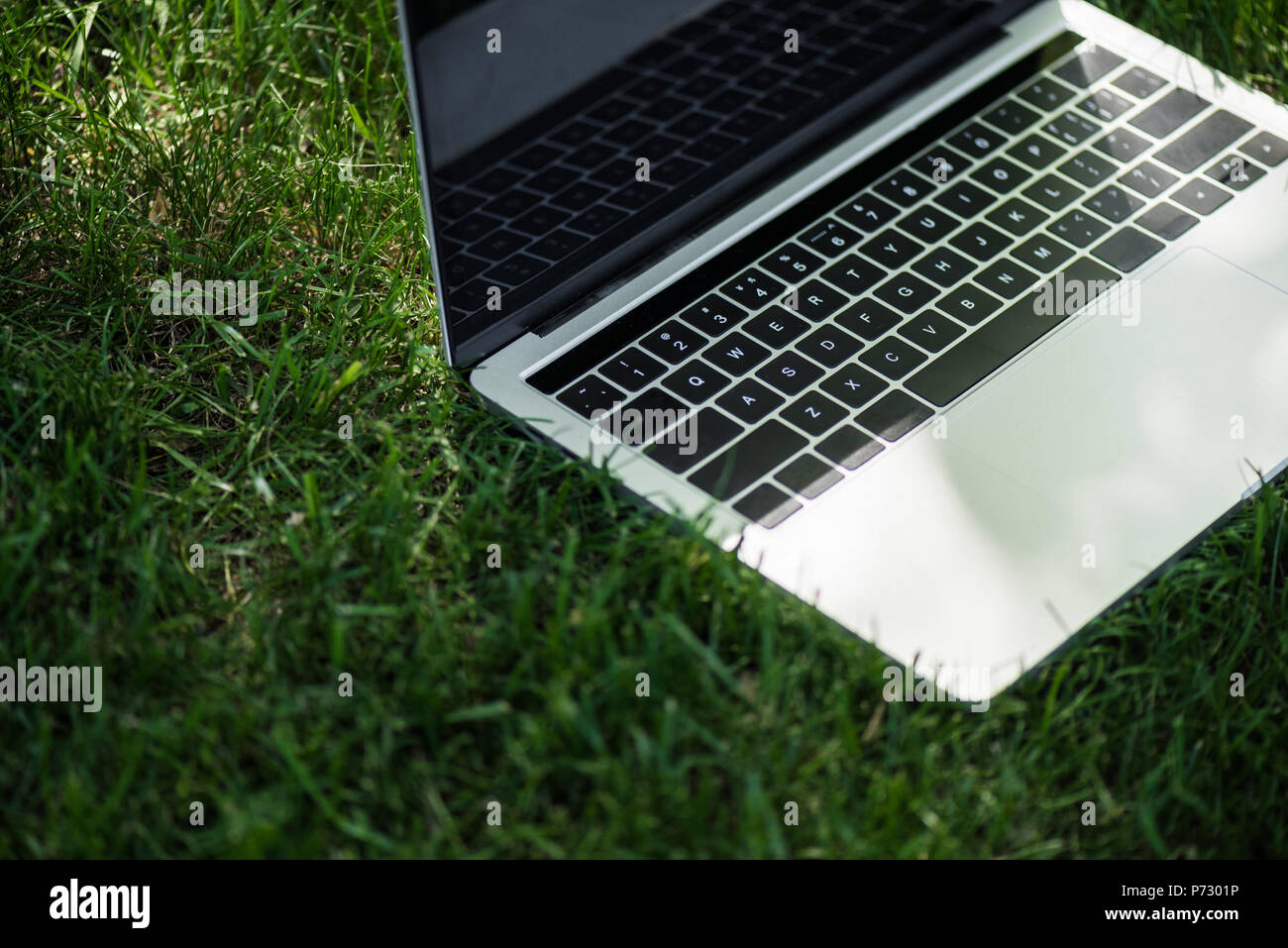 close up view of opened laptop with blank screen on green grass Stock ...