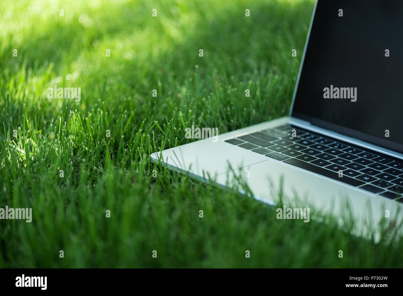 close up view of opened laptop with blank screen on green grass Stock ...