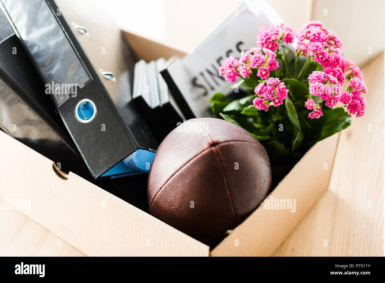 Box ball in pot hi-res stock photography and images - Alamy