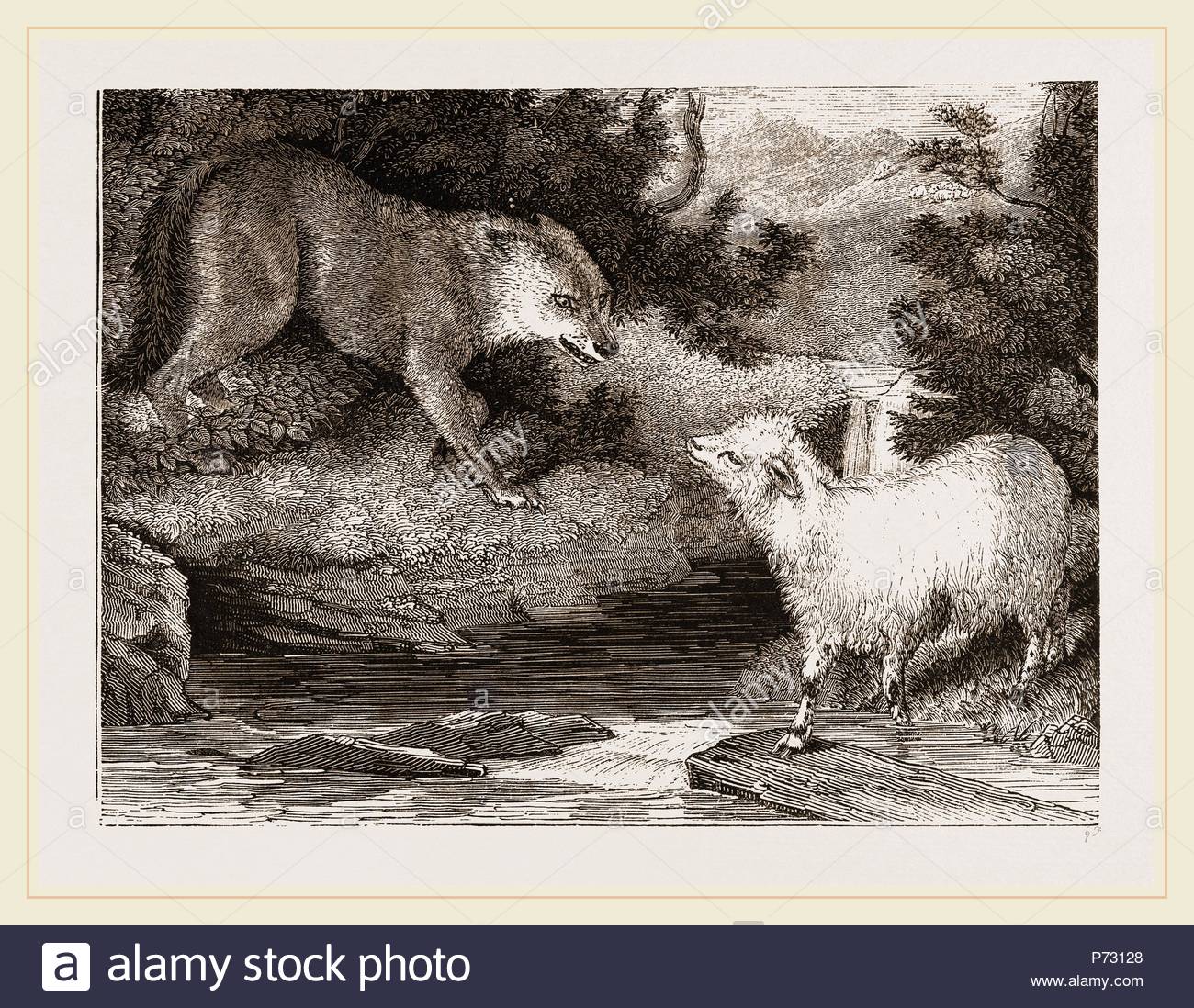 The Wolf And The Lamb Stock Photos & The Wolf And The Lamb Stock Images ...