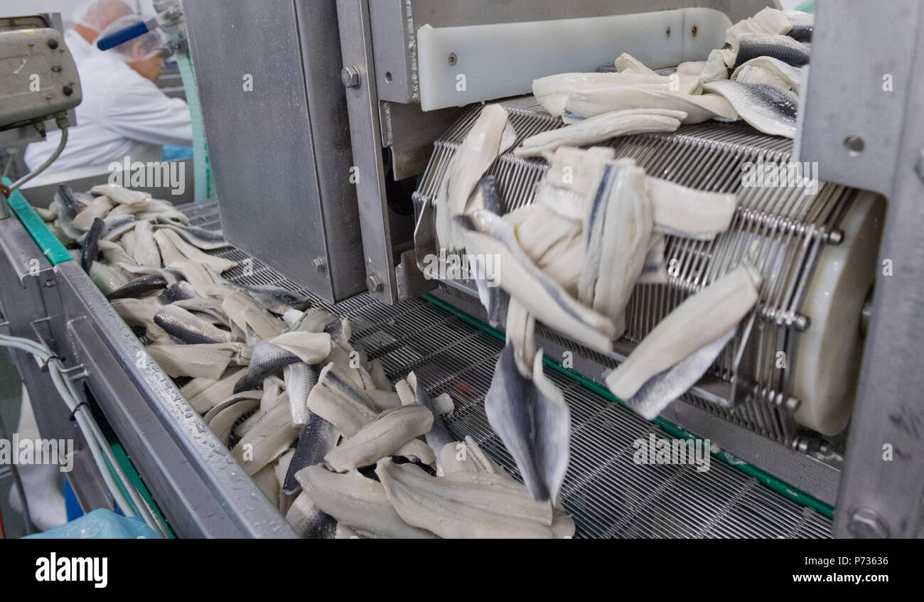 Baltic euro fish factory hi-res stock photography and images - Alamy