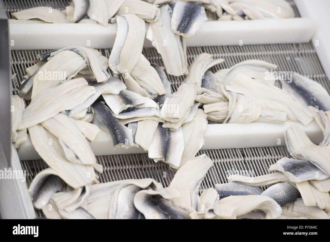 Baltic euro fish factory hi-res stock photography and images - Alamy