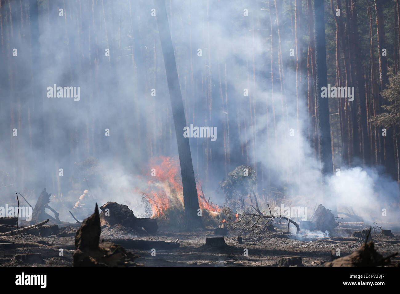 Serno, Germany. 04th July, 2018. The last remainders of a large forest ...