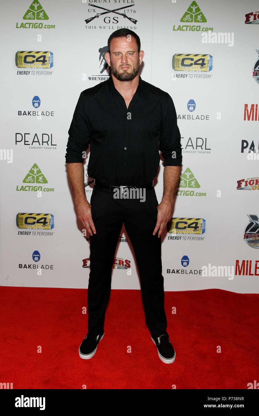 World fighters mma hi-res stock photography and images - Alamy