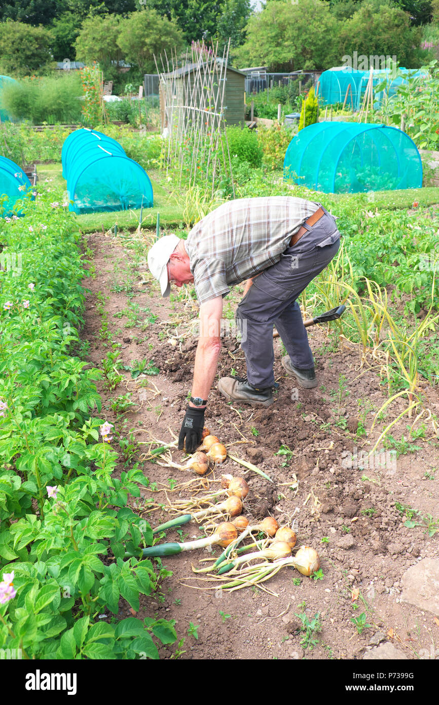 Gardener digging rain hi-res stock photography and images - Alamy