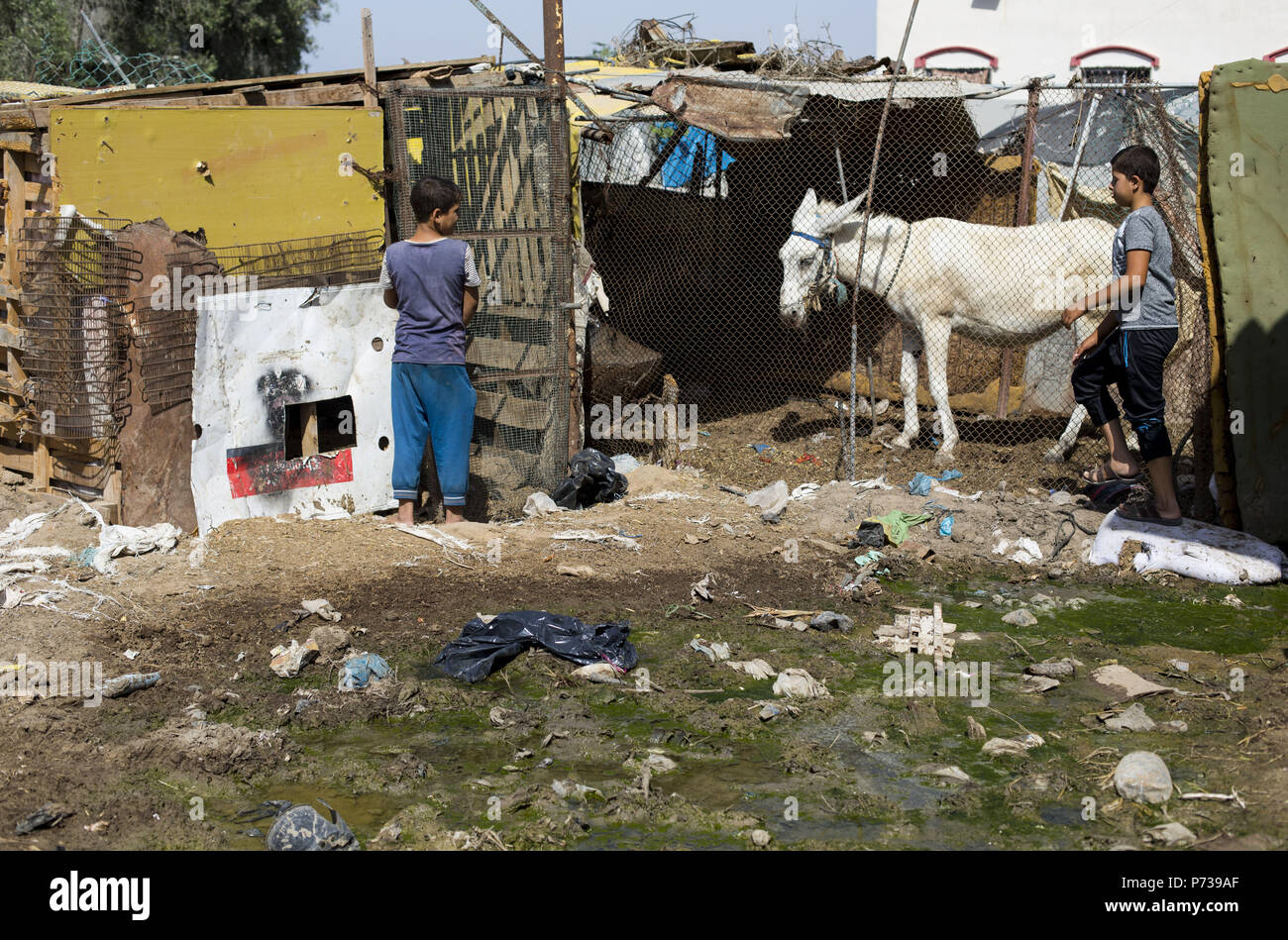 Gaza City, The Gaza Strip, Palestine. 3rd July, 2018. Palestinian ...