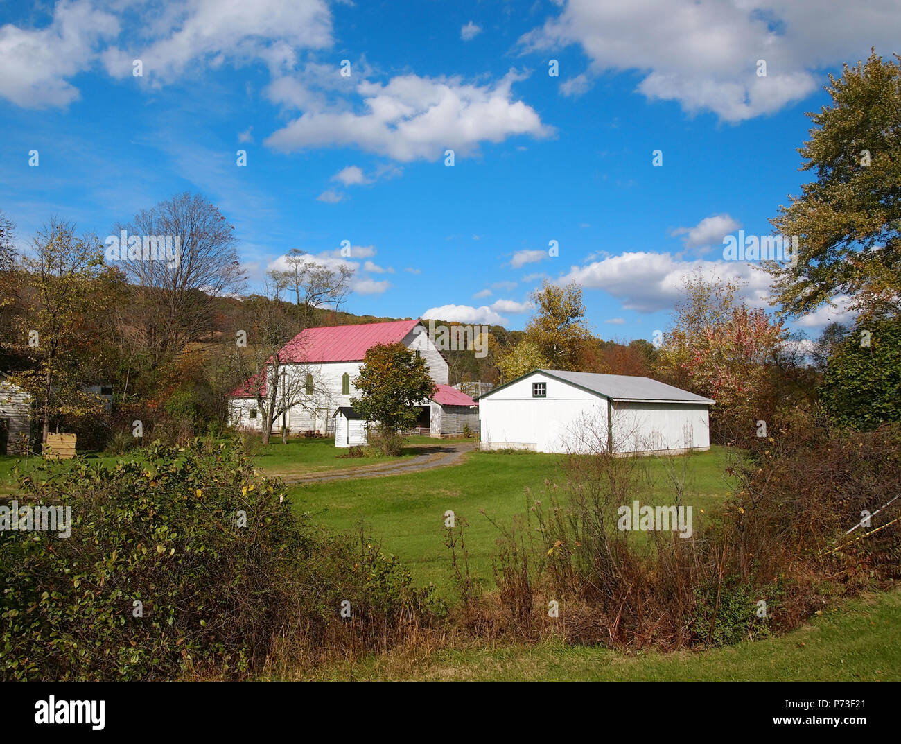 Dromgold farm hi-res stock photography and images - Alamy