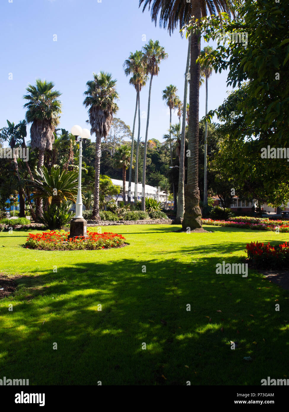 Napier clive square hi-res stock photography and images - Alamy