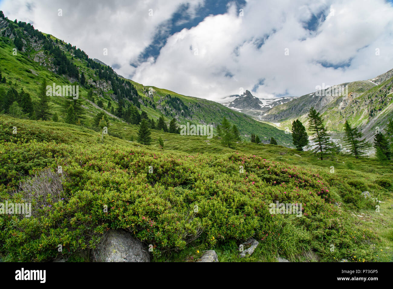 Nature and beauty of Neves Stock Photo - Alamy