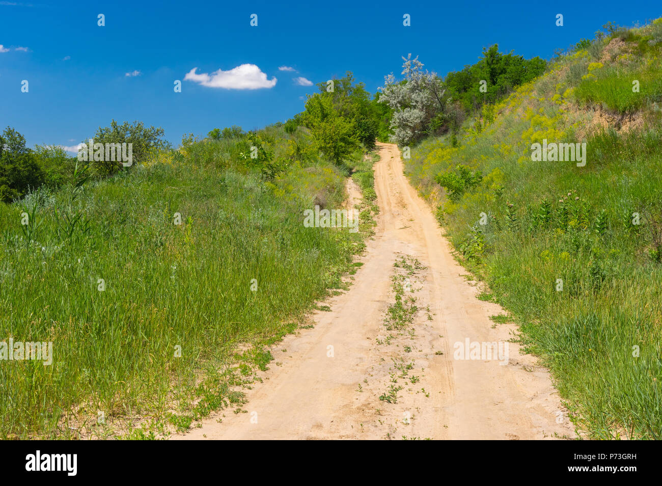 Summer landscape with sandy road through overgrown ravine Stock Photo ...