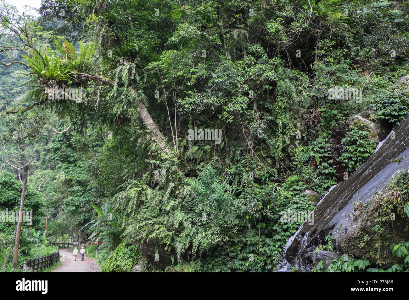 Wulai,district,hot springs,resort,with,famous,waterfall,and logging,toy ...