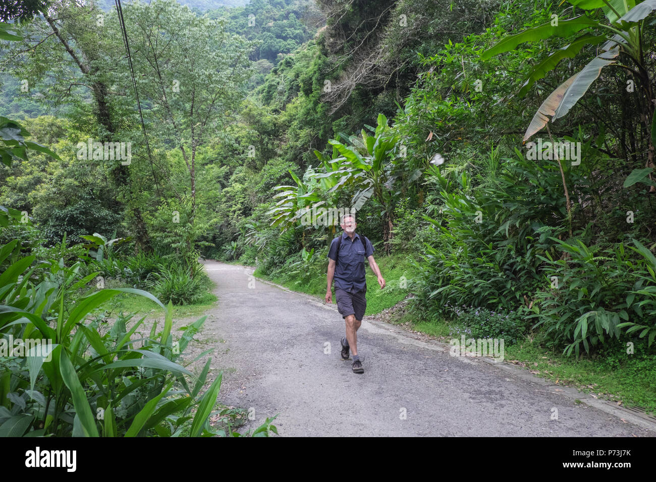 Wulai,district,hot springs,resort,with,famous,waterfall,and logging,toy ...