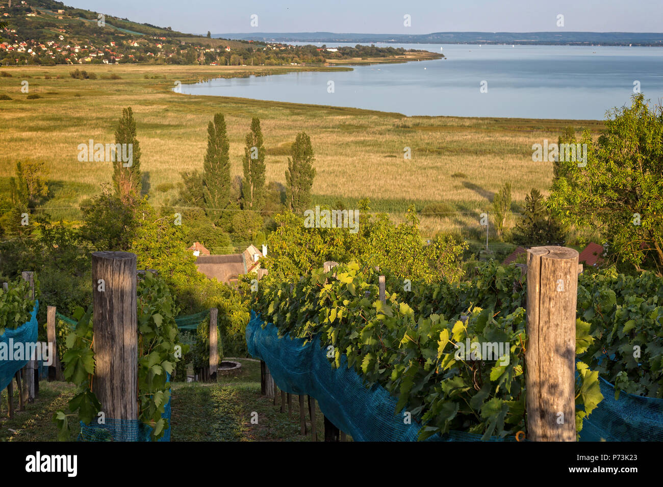 Hungarian landscape from a lake Balaton Stock Photo - Alamy