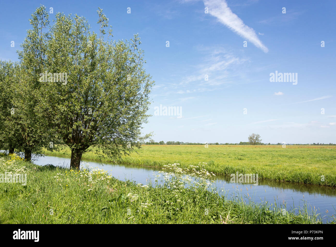 View on typical wide open Dutch landscape in the countryside in the ...