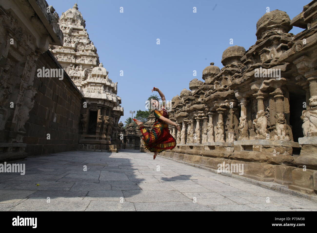 bharatha natyam,one of the eight classical dance forms of india,is from ...