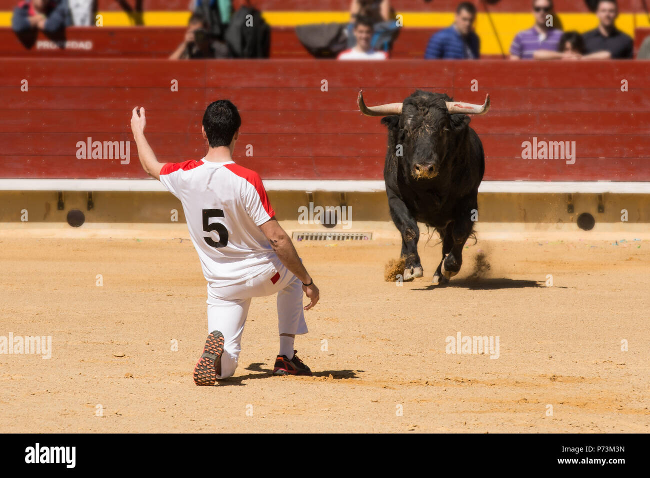 Brave glory hi-res stock photography and images - Alamy