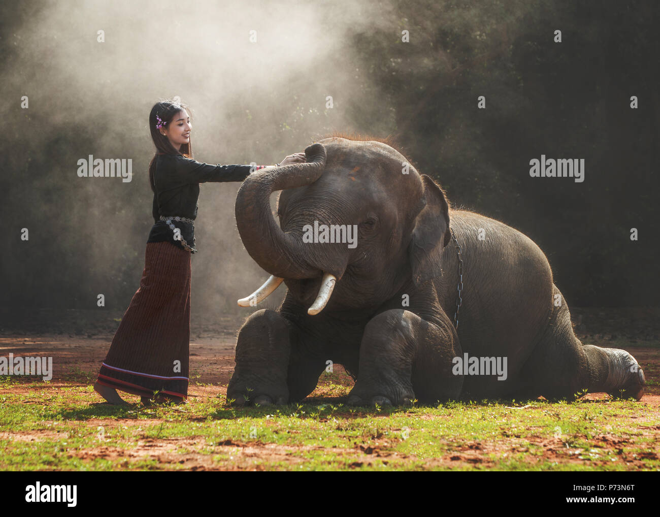Thai Traditional fashionable lady with elephant Stock Photo - Alamy