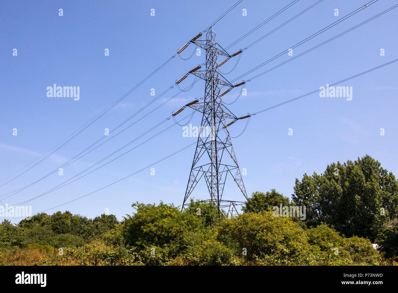 A view of an Electricity Pylon in the UK. A pylon is a tall structure ...
