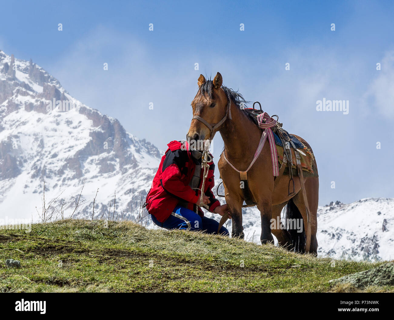 Horse friend lifestyle hi-res stock photography and images - Alamy