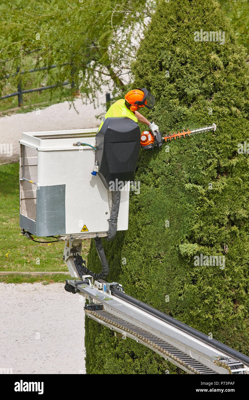 Equiped worker pruning a tree on a crane. Gardening works Stock Photo ...
