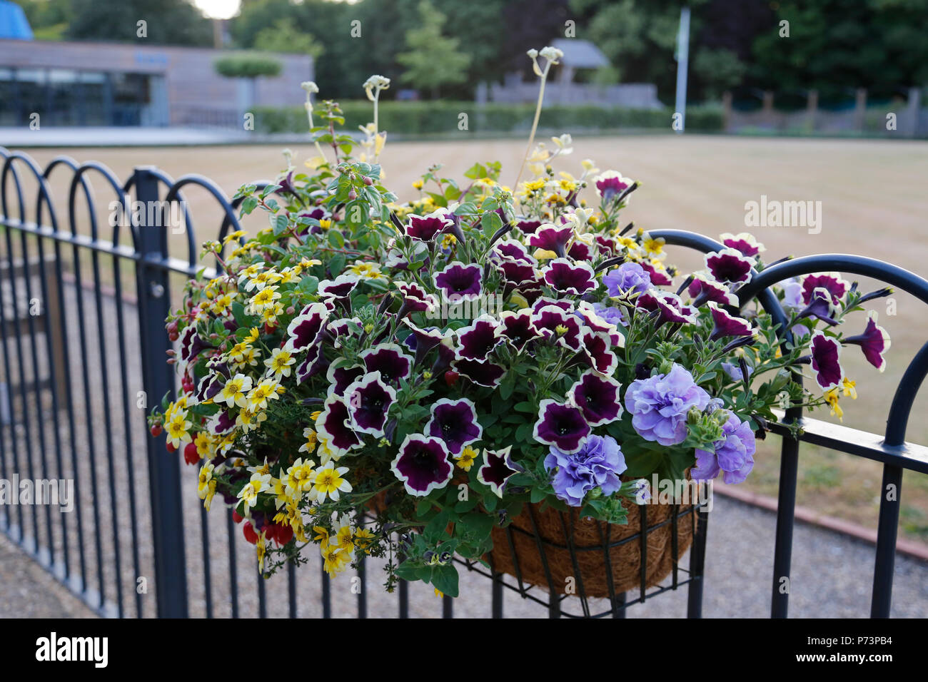 Flowerbox hi-res stock photography and images - Alamy