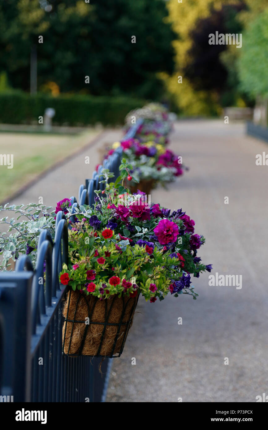 Flowerbox hi-res stock photography and images - Alamy