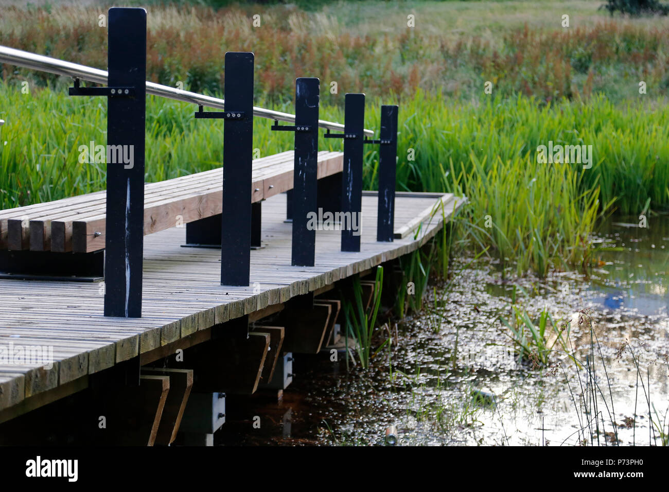 Wooden platform with bench seat over pond Stock Photo - Alamy