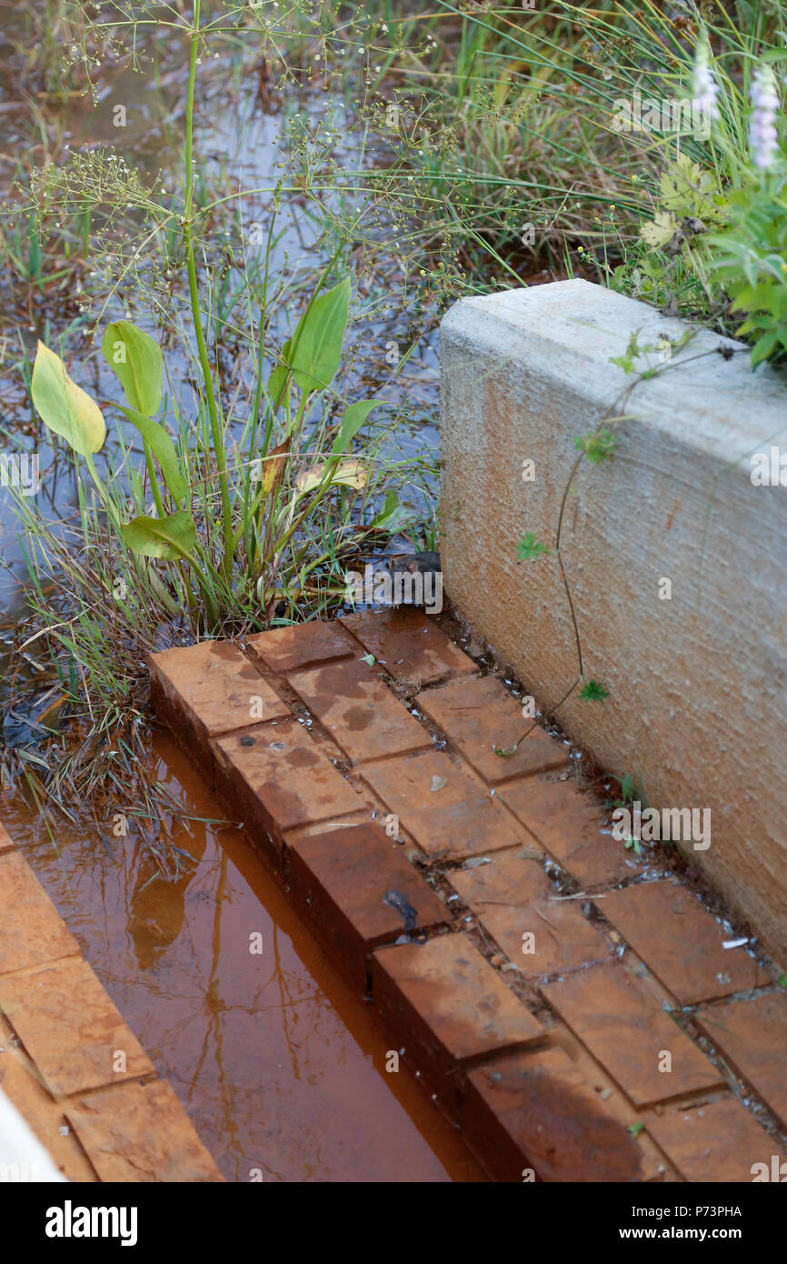 Large drain hi-res stock photography and images - Alamy
