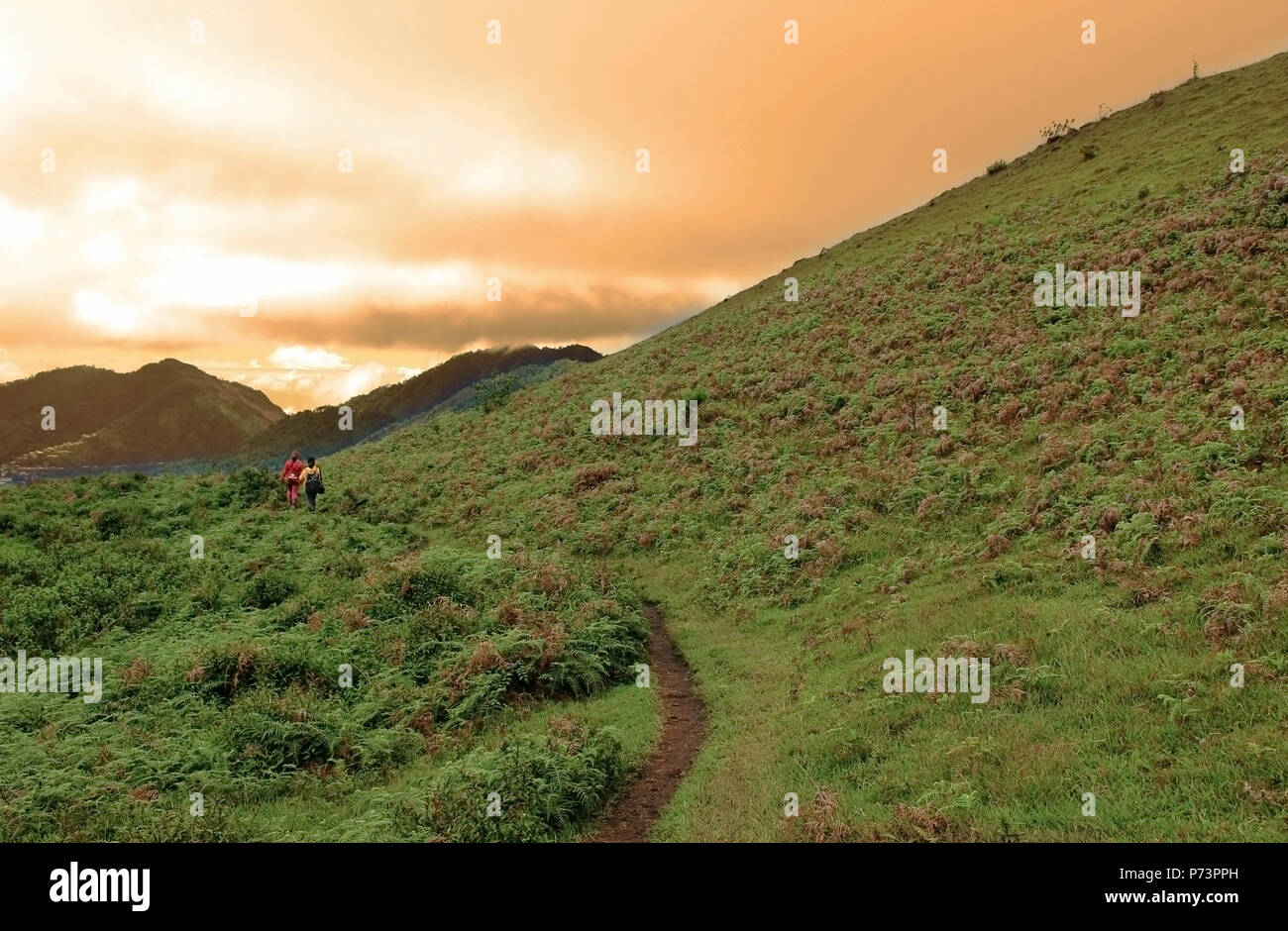 Afternoon Scenery At The Mountain, Mountain Afternoon Hiking Stock ...