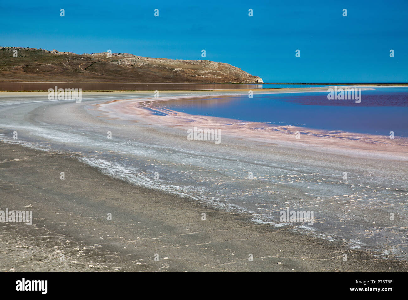 Salt lake. Crimea. Russia Stock Photo - Alamy