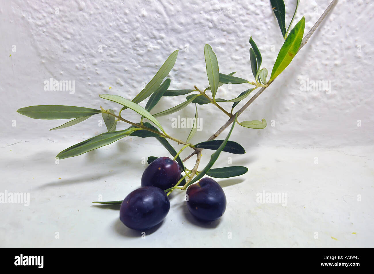 olives in white background Stock Photo - Alamy