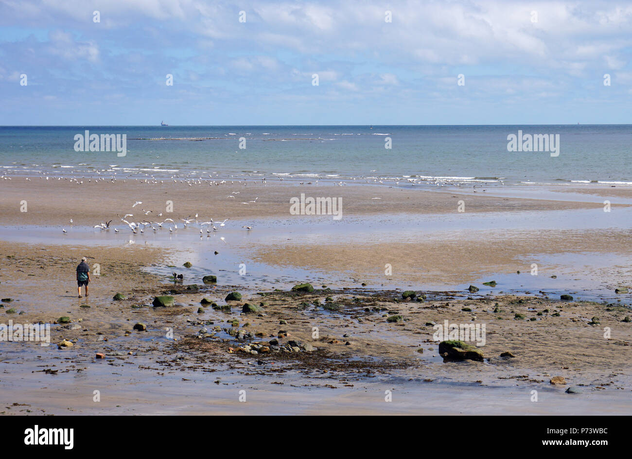 The tide is out hi-res stock photography and images - Alamy