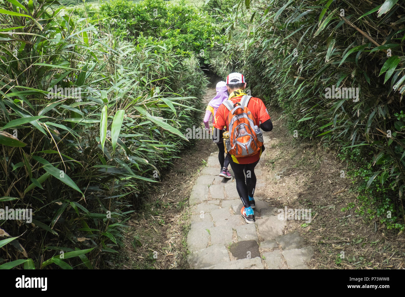 Hiking,hike,Qixing,Mountain,Yangmingshan,National,Park,Taipei,Taiwan ...