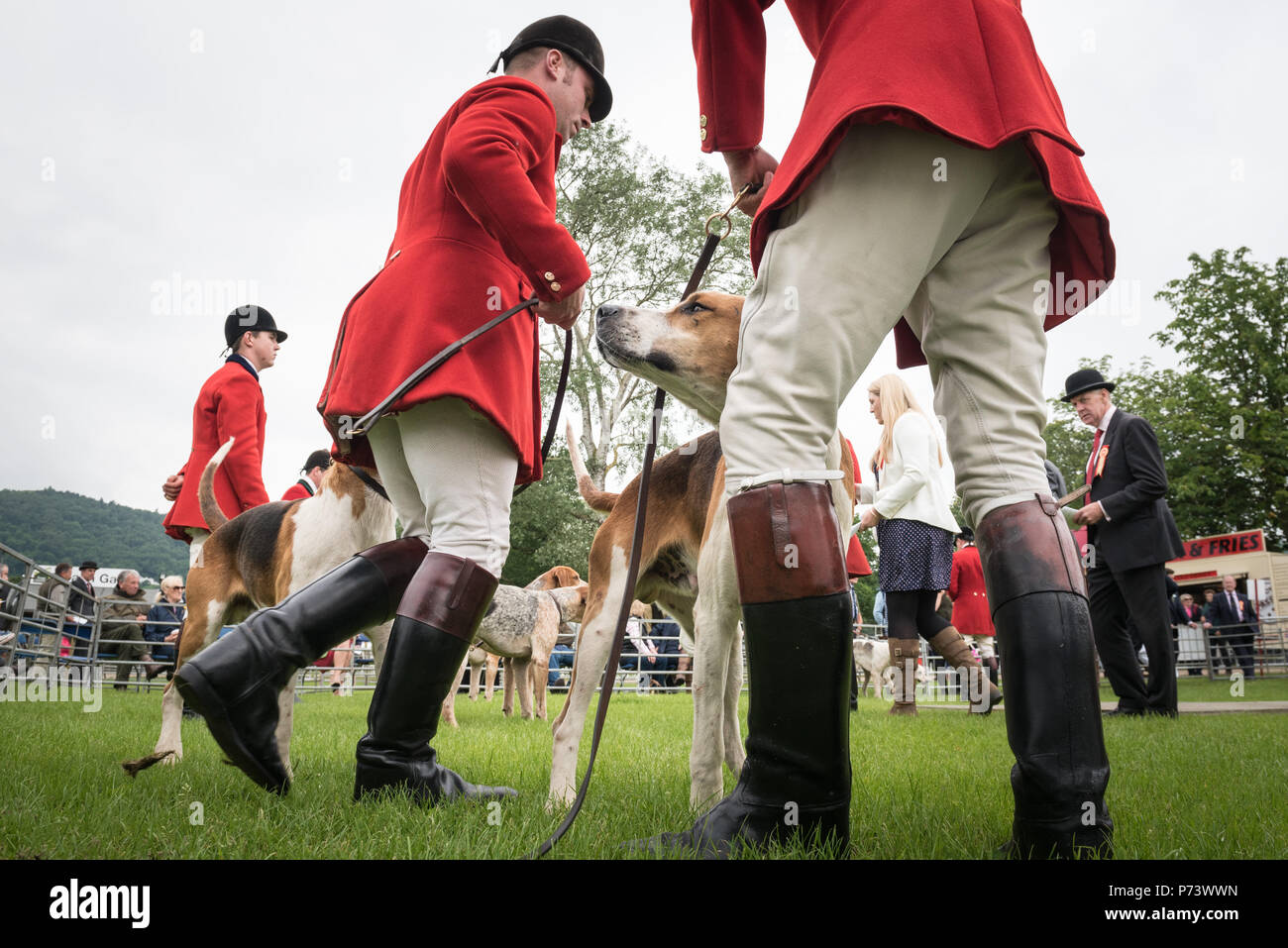 Three counties showground hi-res stock photography and images - Alamy
