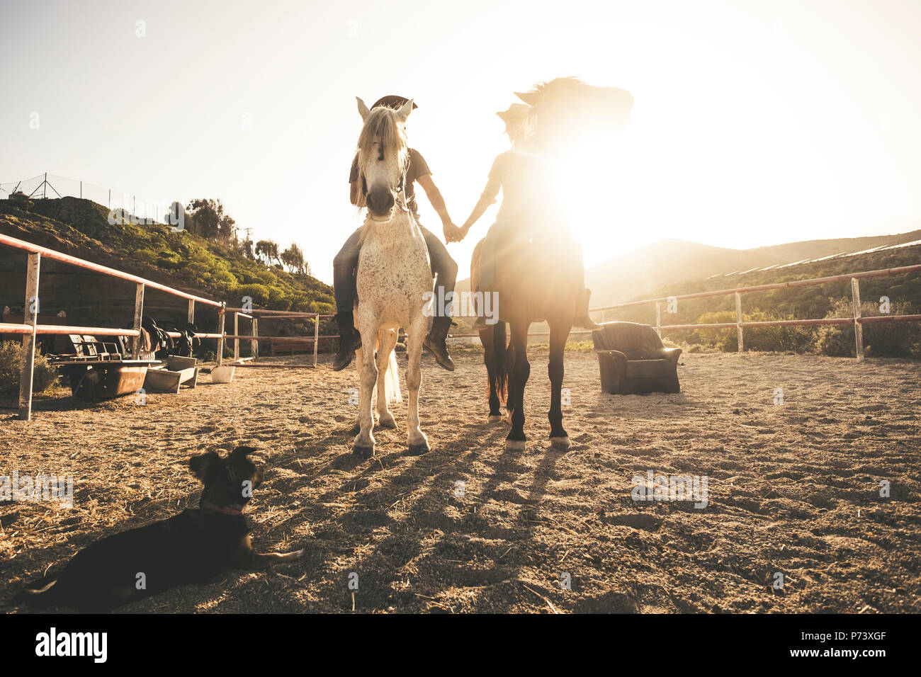 Dog cowboy horse ride hi-res stock photography and images - Alamy